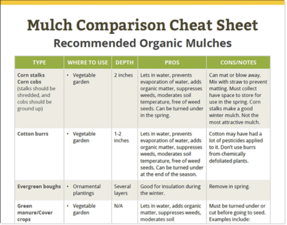 Mulch Comparison Chart: Find the Best Mulch in 3 Easy Steps!