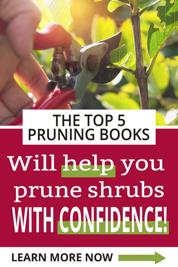 The 5 Best Pruning Books: Learn to Prune Like a Pro in 2023!