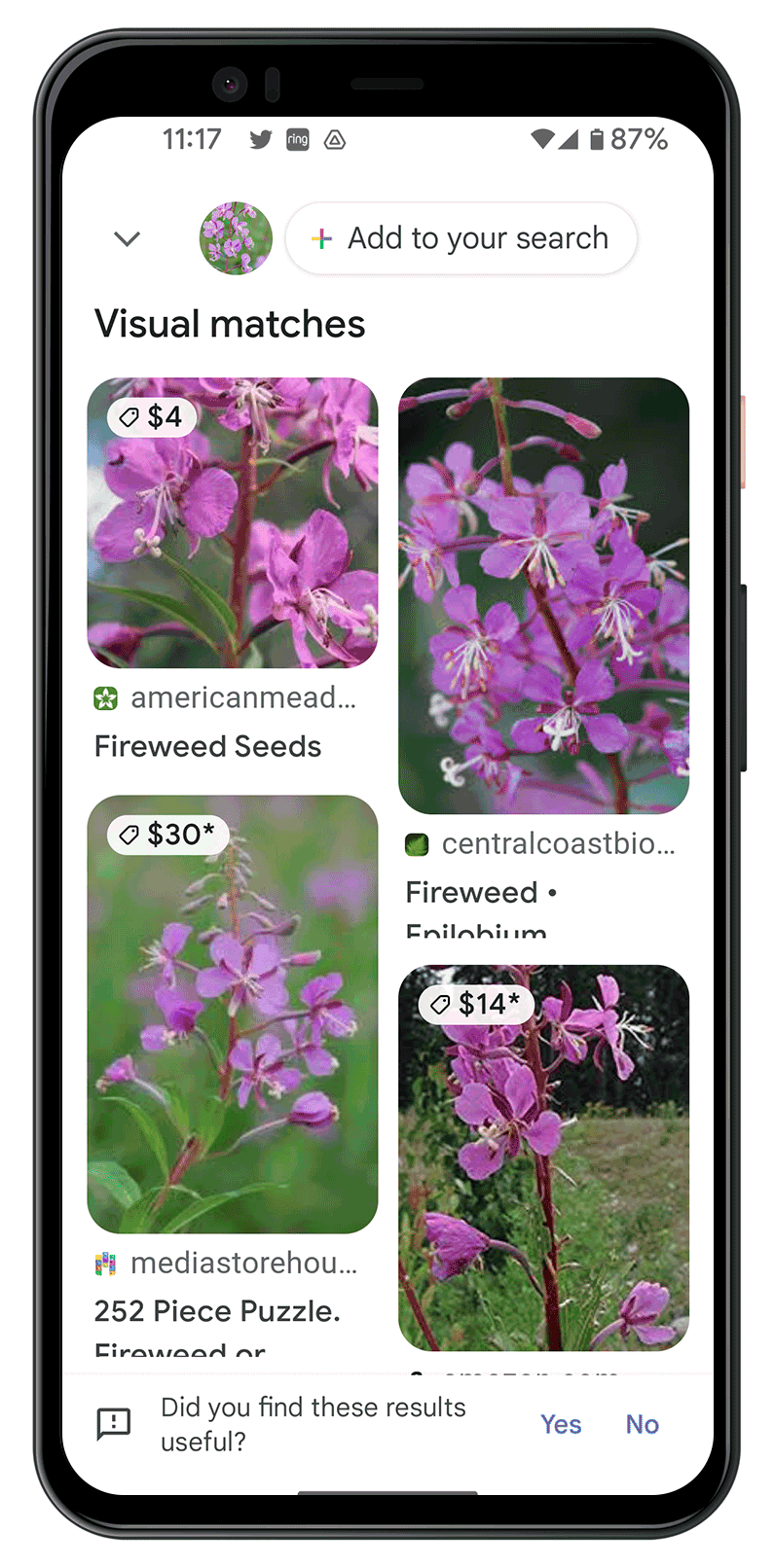 How to Identify Plants With Google Lens: Quick, Easy + FREE - Simply ...