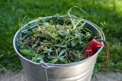 Weeding Bucket DIY: Simple Solution Makes it Easy to Weed