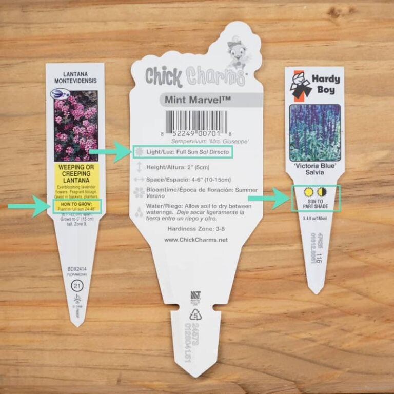 Sun Mapping Your Garden Will Help You Pick Perfect Plants