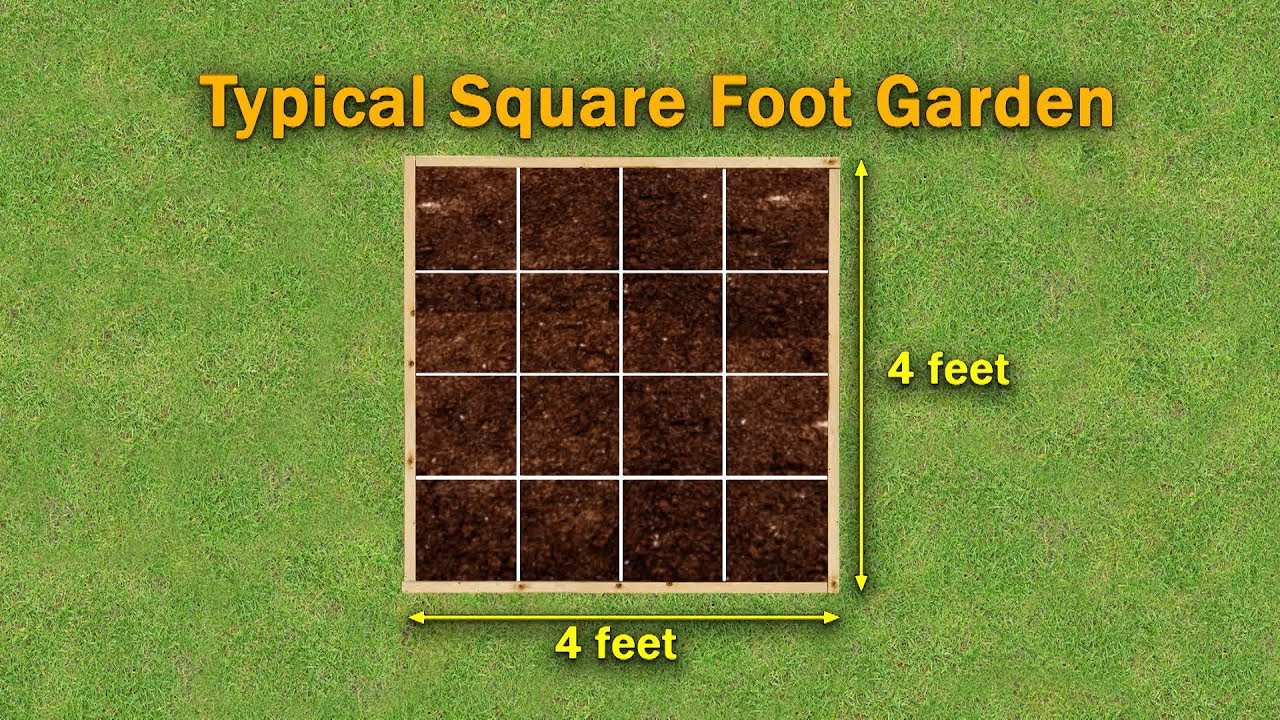 Four Square Feet Garden Square Foot Gardening Problems: 4 Years & I'm