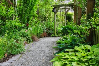 What is Full Sun, Partial Sun, and Part Shade? (How to Grow Happy Plants)