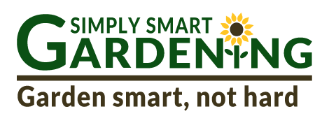 How to Identify Plants With Google Lens: Quick, Easy + FREE - Simply ...